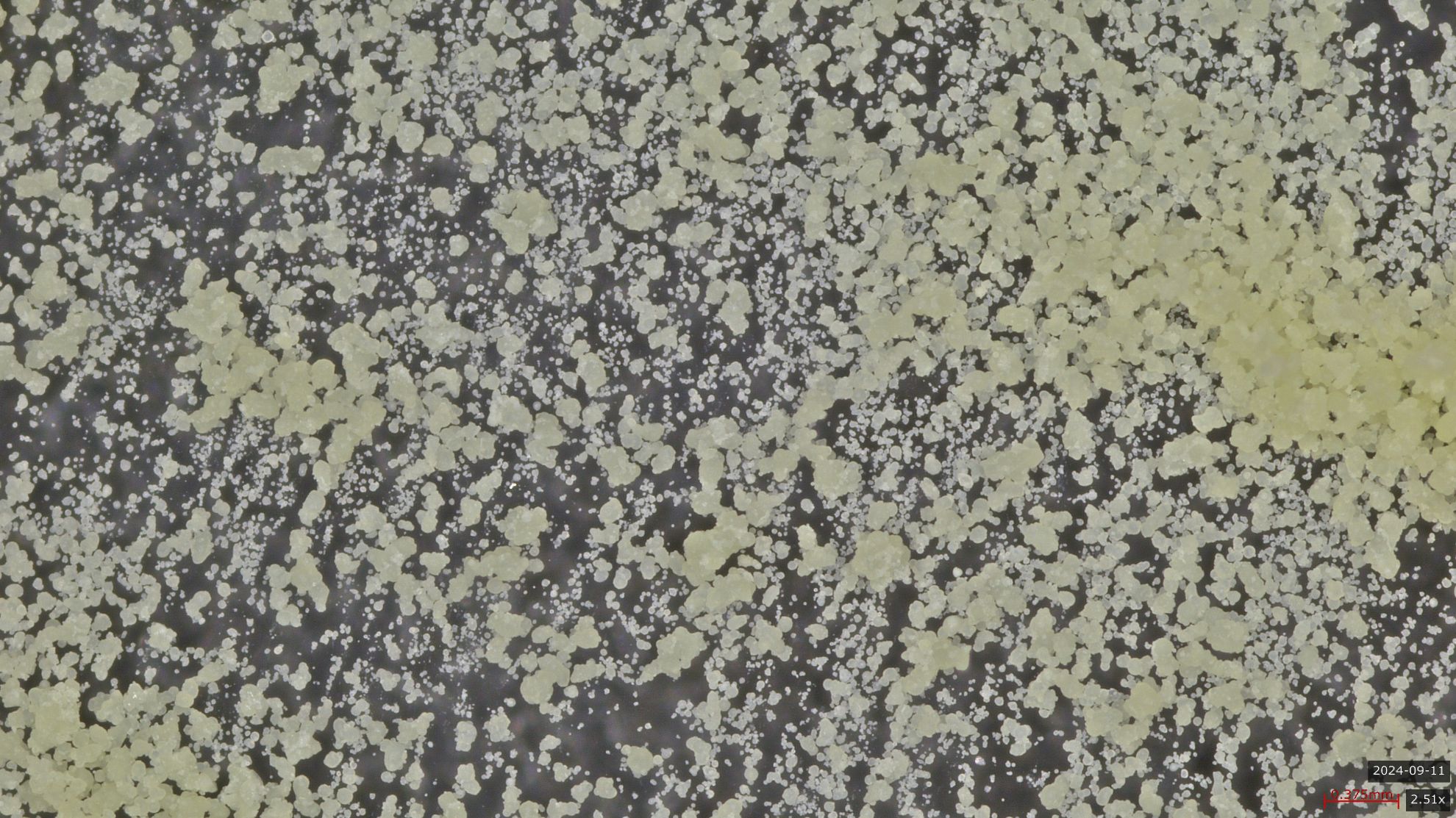 Reference Materials-IAEA-479